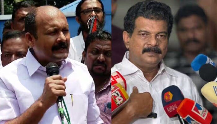 'പി വി അന്‍വര്‍ കുരയ്ക്കുകയെ ഉള്ളു, കടിക്കില്ല; കുമാരപിള്ള സഖാവിന്റെ ...