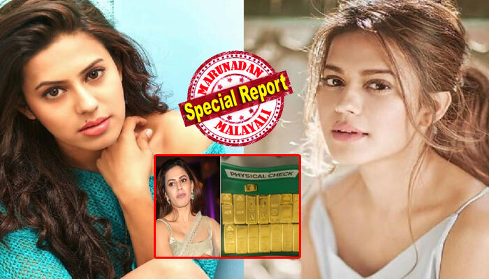 എഞ്ചിനീയറിംഗില്‍ ബിരുദമുള്ള മിടുക്കി; അഭിനയത്തോട് അടങ്ങാത്ത ആഗ്രഹം ...