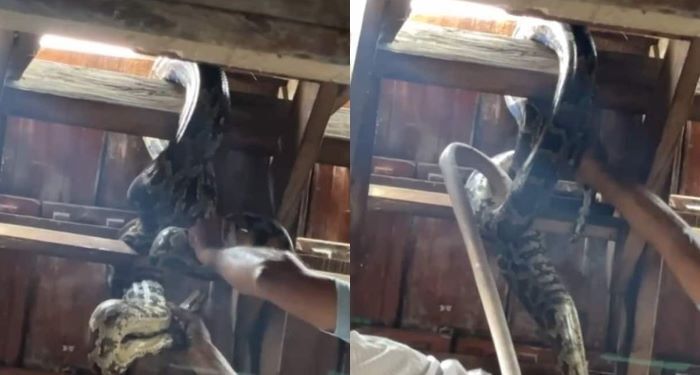 ഓട് നിലത്ത് വീഴുന്ന ശബ്ദം കേട്ട് നോക്കിയപ്പോൾ വീട്ടുകാർ ഞെട്ടി ...