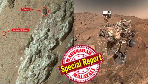 ചൊവ്വയില്‍ ജീവന്റെ തുടിപ്പുകള്‍ ശരിവെച്ച് ഒരു കണ്ടെത്തല്‍ കൂടി; പുരാതന ...