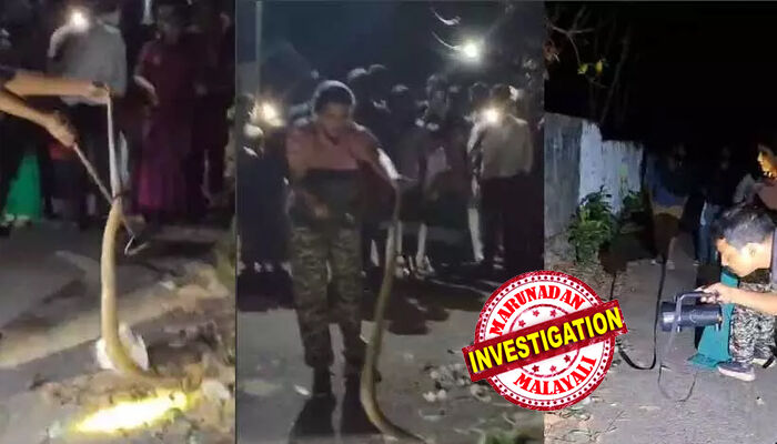 പെരുമ്പാമ്പിനെ പിടികൂടണമെന്ന് 'സര്‍പ'യിലേക്ക് ഫോണ്‍ കോള്‍; വനംവകുപ്പ് ...